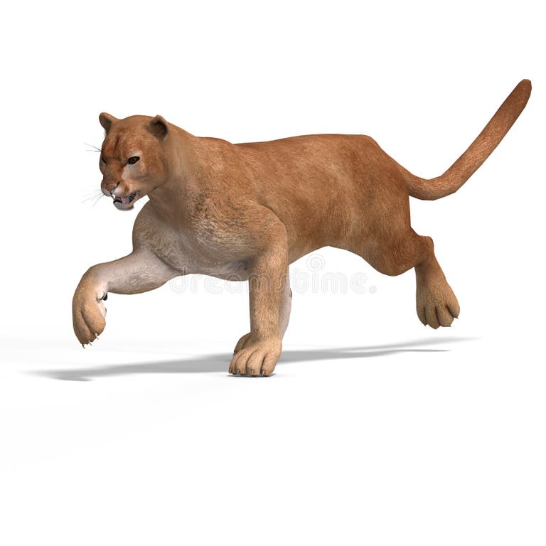 Big Running Cat Stock Illustrations – 4,714 Big Running Cat Stock ...