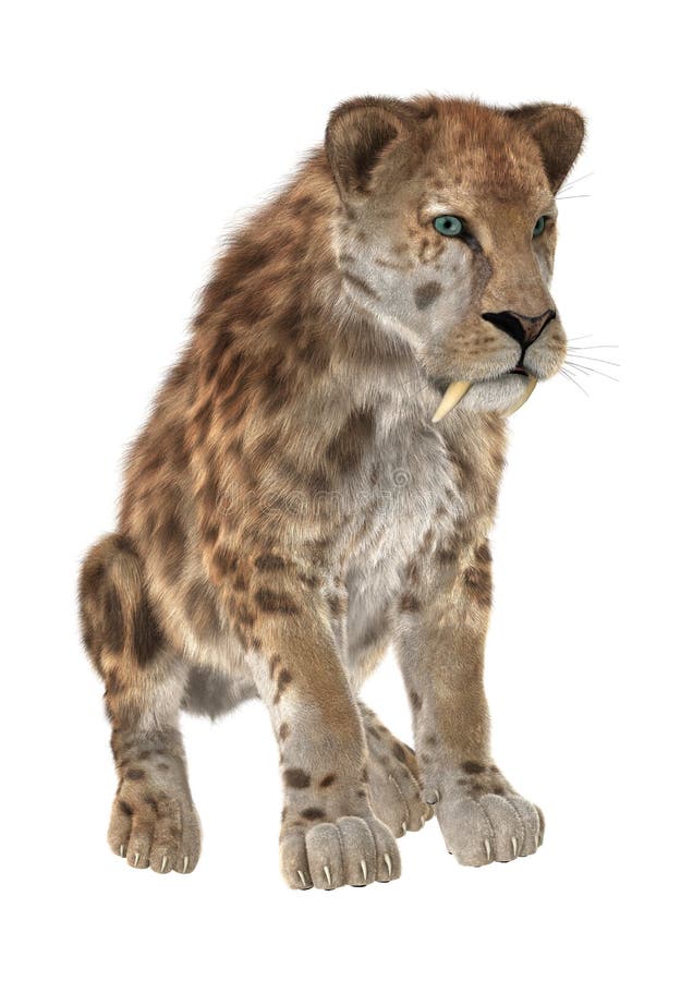 Big Cat Sabertooth stock photo. Image of hunter, isolated - 63115904