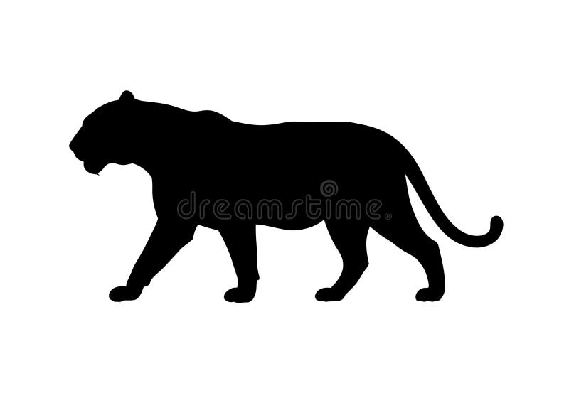 Big cat silhouette stock vector. Illustration of mammal - 374895155