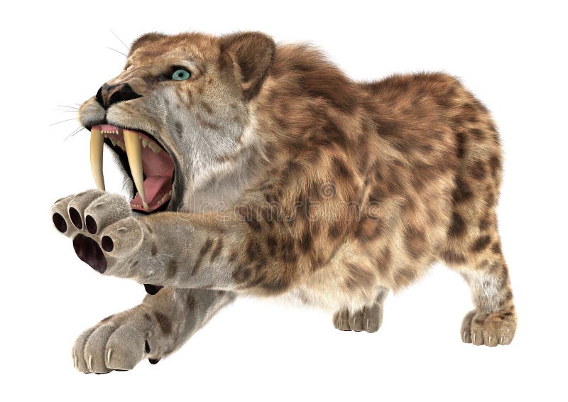 Smilodon Wallpaper