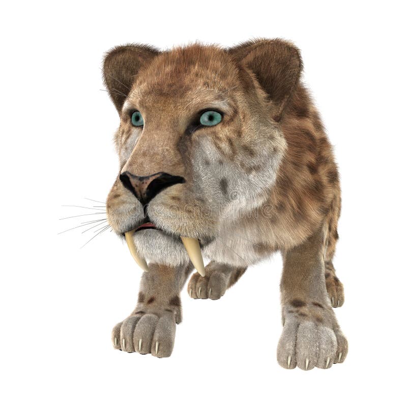 Big Cat Smilodon stock image. Image of toothed, feline - 52234461