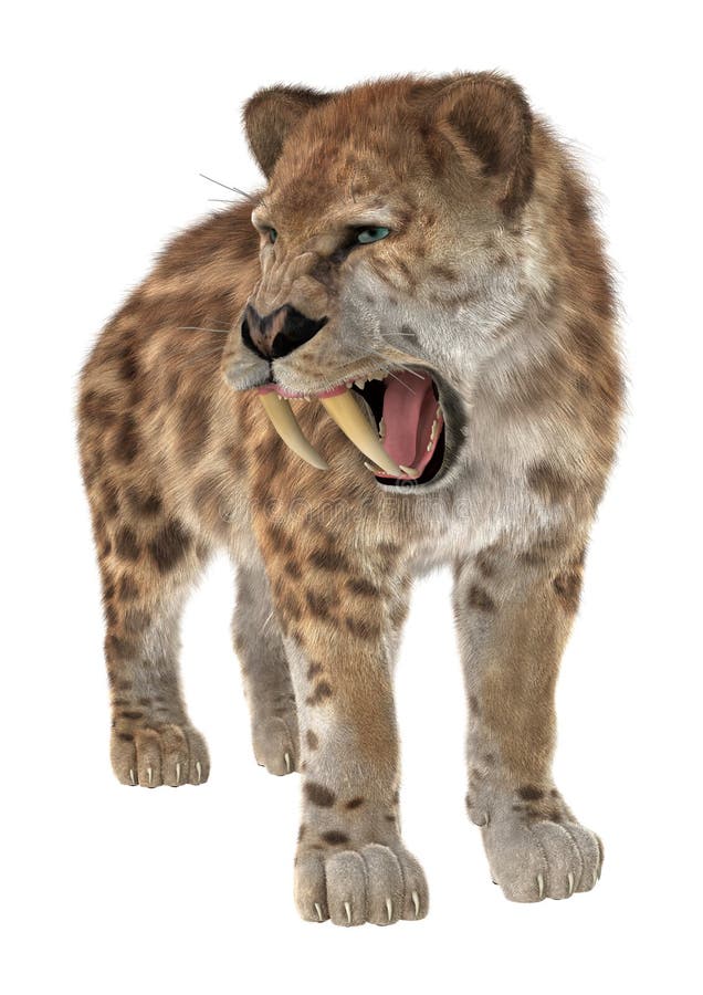 Smilodon stock photo. Image of ferocious, jurassic, animal - 36890108
