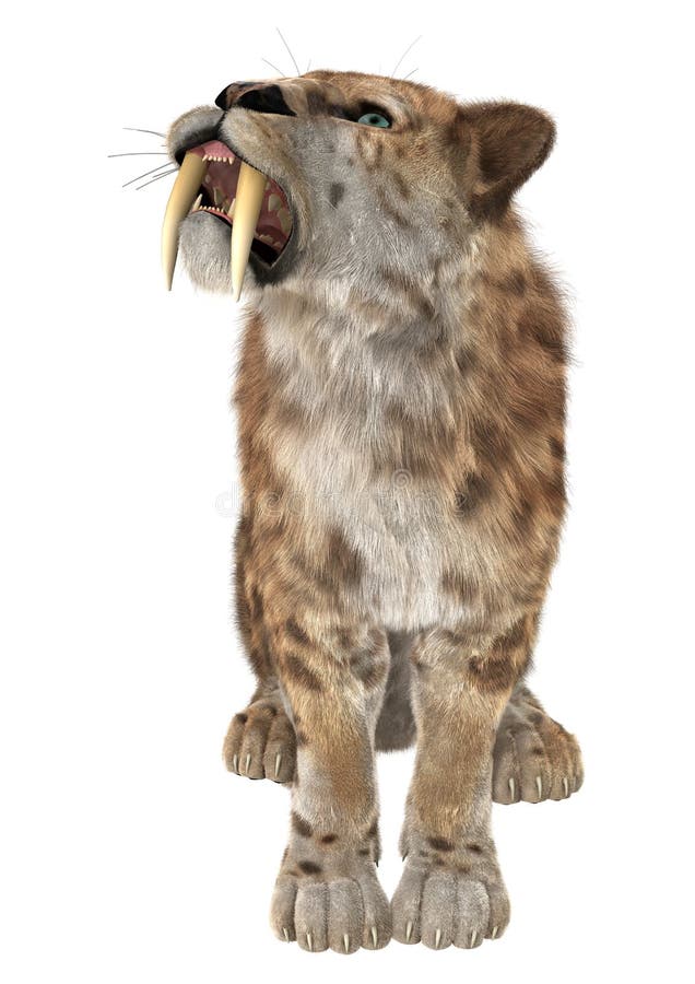 Smilodon Cat Stock Photos - Free & Royalty-Free Stock Photos from ...