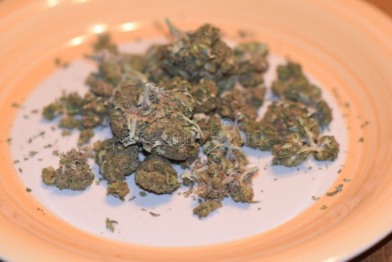 Big Chem Marijuana Strain stock photo. Image of aboard - 147750170 Big Chem Marijuana Strain stock photo. Image of aboard - 147750170