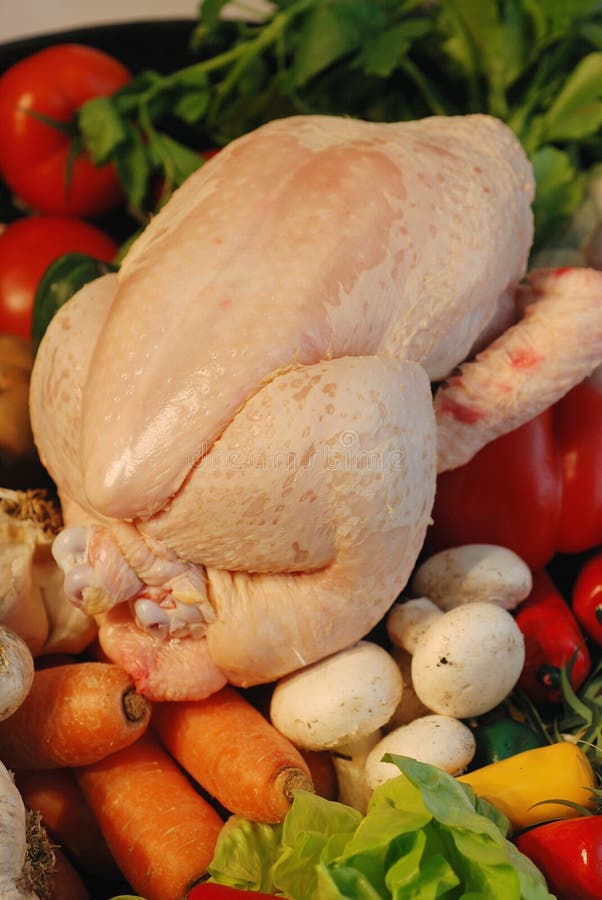 Big chicken stock image. Image of cook, focused, delicious - 2068859