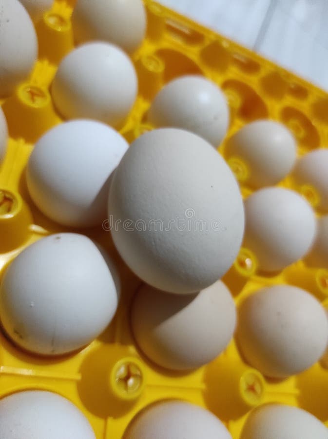 Big Chicken Eggs on the Yellow Tray Stock Photo - Image of yellow ...