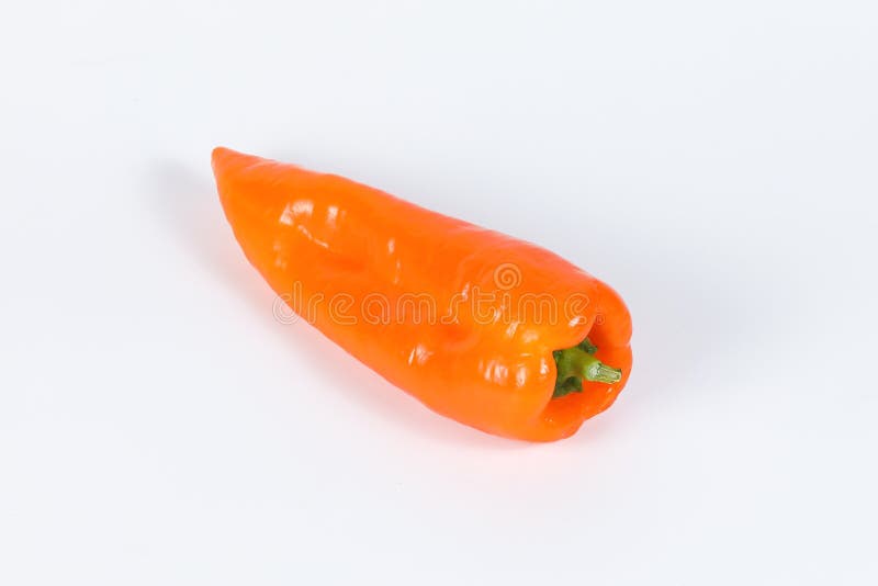 Big Chili Pepper stock photo. Image of chili, healthy - 100196724