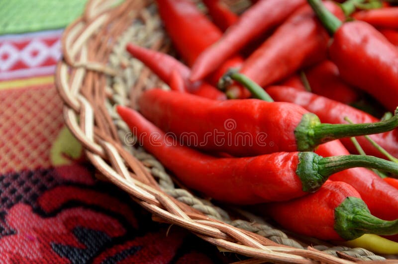 Big chili red stock image. Image of chilli, mexico, freshness - 142826755