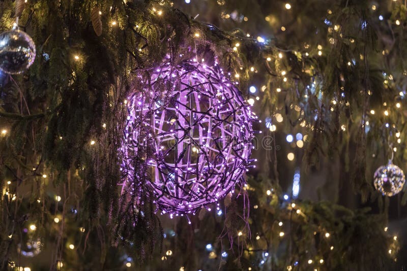 Big Christmas Red Flask on a Green Tree. in the Flask is a Reflection ...