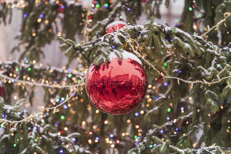 Big Christmas Red Flask on a Green Tree. in the Flask is a Reflection ...
