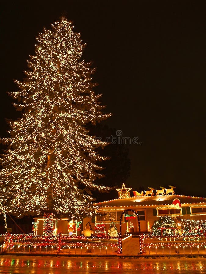 Big Christmas Tree 2 stock photo. Image of decorative - 7383858