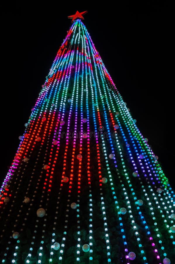 Big Christmas Tree Decorated with Colorful Lights Stock Image - Image ...
