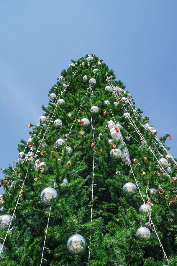 Big Christmas tree stock photo. Image of christmas, outdoors - 63822448