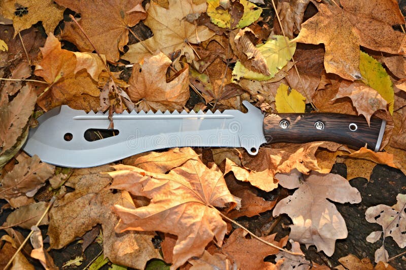 Big cleaver in the forest stock photo. Image of iron - 308832996