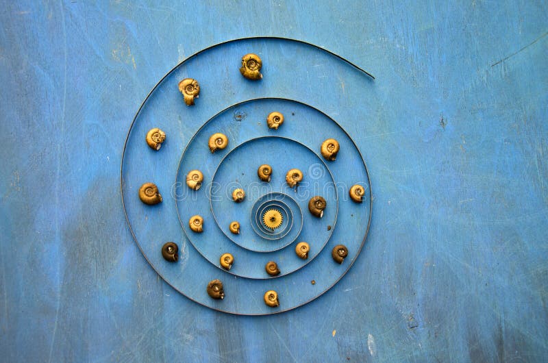 Big Clock Spring Spiral and Snail Shells Concept Stock Image - Image of ...