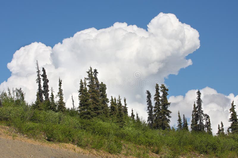 Big cloud stock photo. Image of alaska, remote, trees - 22498812