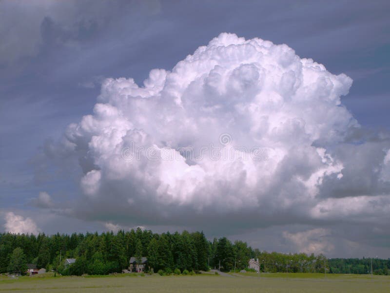 Big Cloud stock photo. Image of field, greens, easy, forest - 584986