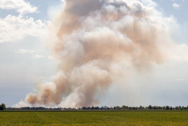 Big cloud of smoke stock photo. Image of green, cloud - 41072818