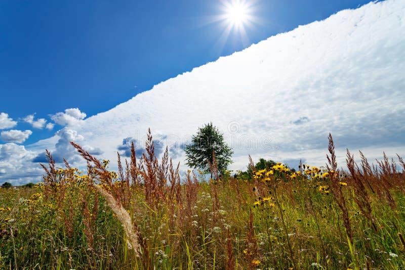 Big Clouds in the Sky. Two Types of Clouds Over a Field on a Sunny ...