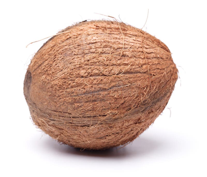 Big Coconut Isolated on a White Background Stock Photo - Image of ...