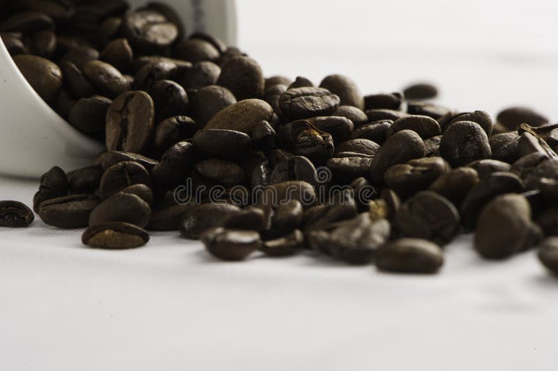 BIG COFFEE BEANS with with White Cup Closeup Stock Photo - Image of ...