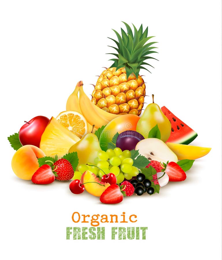 Big Set of Fresh Fruit. Vector Stock Vector - Illustration of mango ...