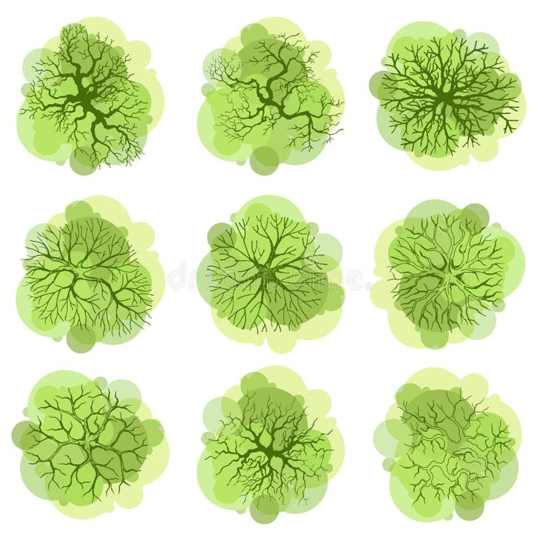 Trees Top View for Landscape Vector Illustration. Stock Vector ...