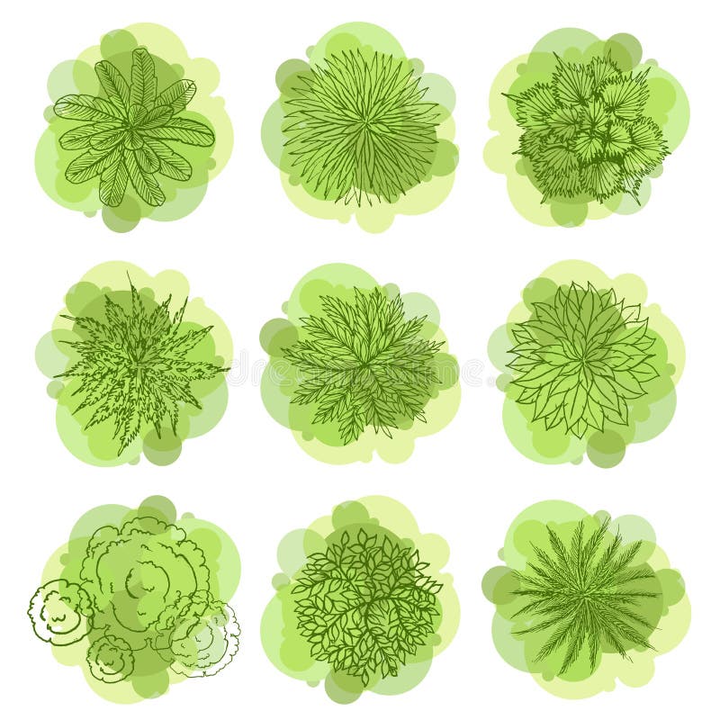 Trees Top View for Landscape Vector Illustration. Stock Vector ...