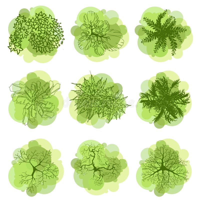 Trees Top View for Landscape Vector Illustration. Stock Vector ...