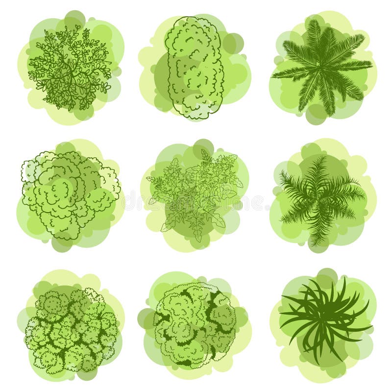 Trees Top View for Landscape Vector Illustration. Stock Vector ...