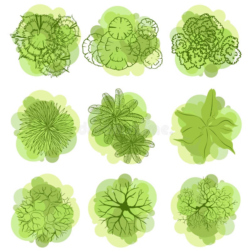 Trees Top View for Landscape Vector Illustration. Stock Vector ...