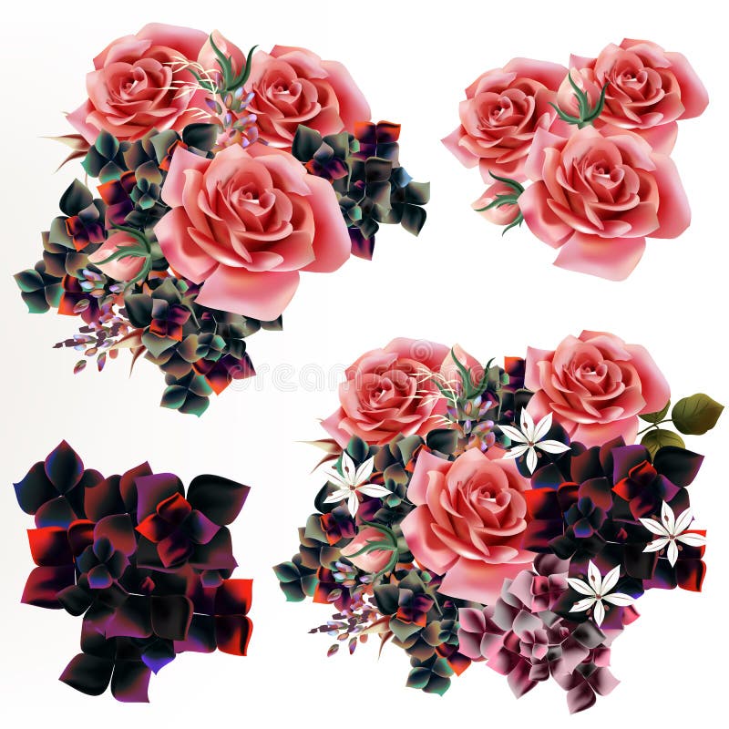 Big Collection of Vector Roses Stock Vector - Illustration of grungy ...
