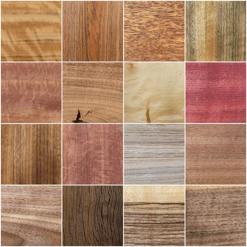 Big Collection of Wood Texture Backgrounds Stock Image - Image of ...