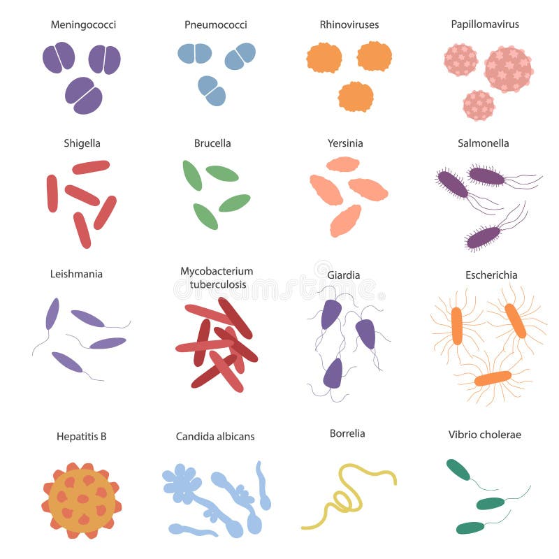 Big Colorfull Set with Different Dangerous Viruses and Germs with Its ...