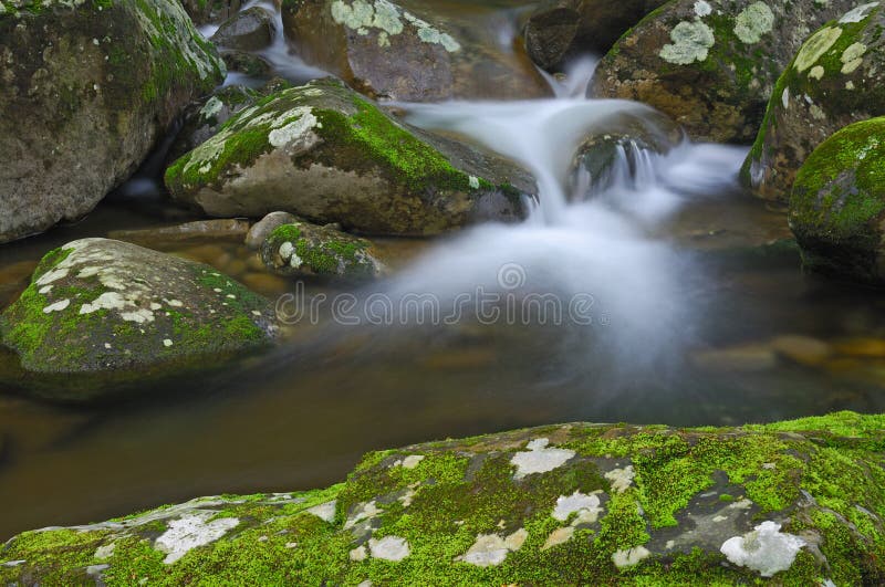 Big Creek Cascade stock photo. Image of moss, water, park - 6326488