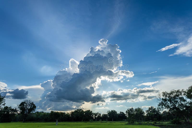 Big Cumulus Cloud Big Rain Clouds in the Sky Over the Forest Stock ...