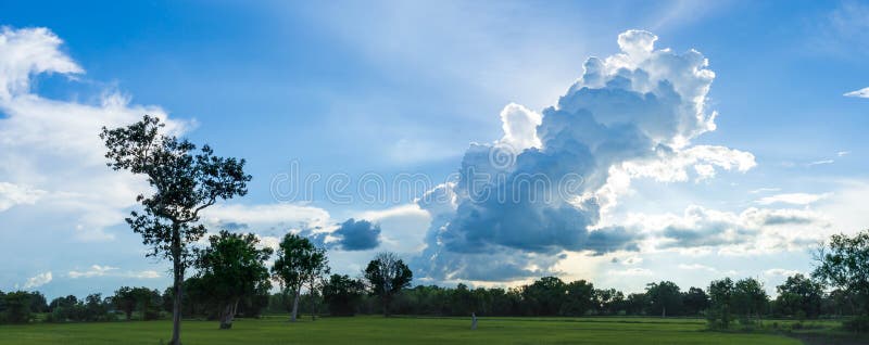 Big Cumulus Cloud Big Rain Clouds in the Sky Over the Forest Stock ...