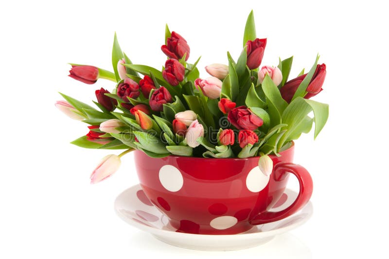 Big Cup and Saucer with Tulips Stock Image - Image of flowers, colorful ...
