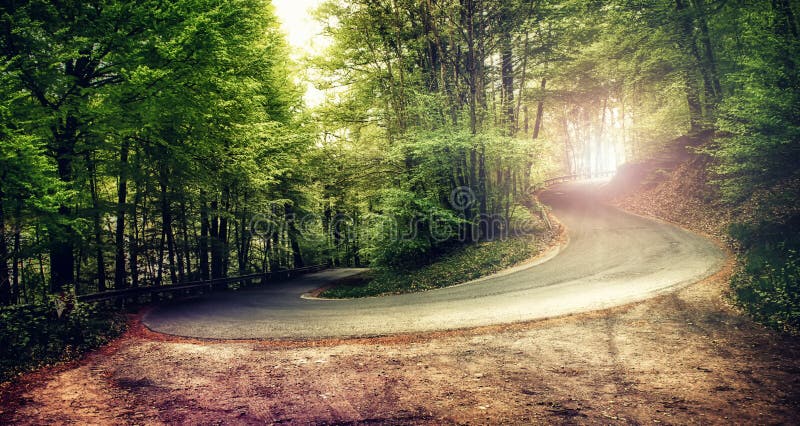 Big Curve in the Forest with Sunlight Stock Image - Image of outdoor ...