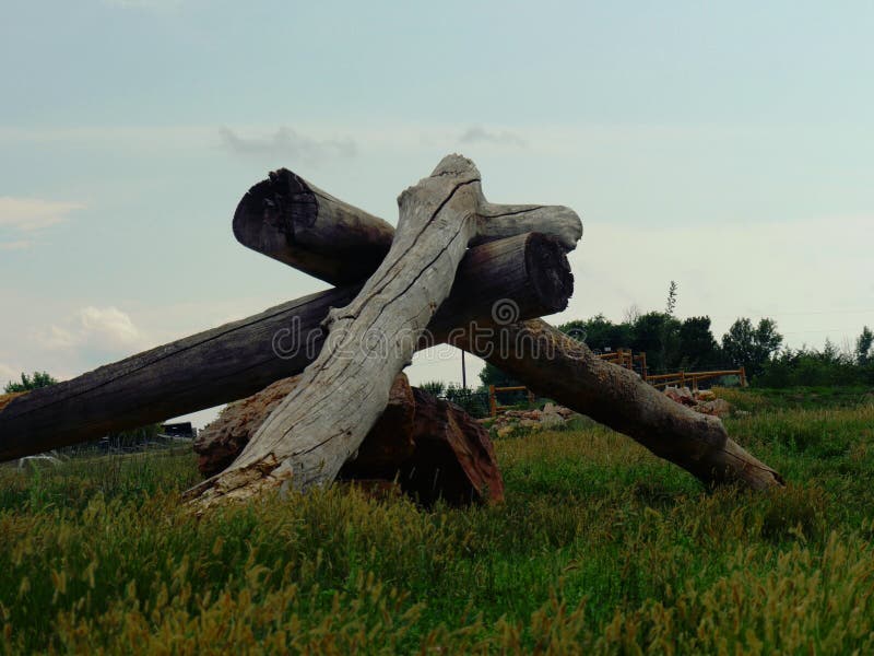 Big Cut of Logs Piled Outdoors Stock Image - Image of landscape, fuel ...