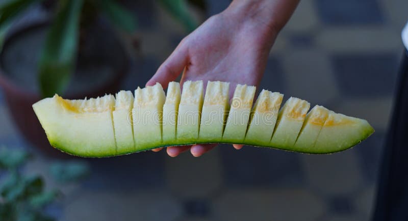 A Big Cut Melon in the Girl S Hand Stock Image - Image of fresh, cute ...