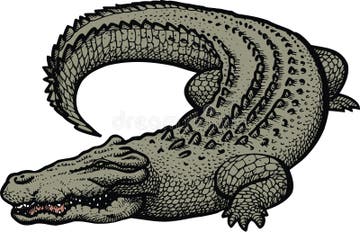 Hungry Alligator Stock Illustrations – 312 Hungry Alligator Stock ...