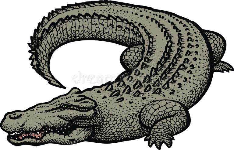 Hungry Alligator Stock Illustrations – 303 Hungry Alligator Stock ...