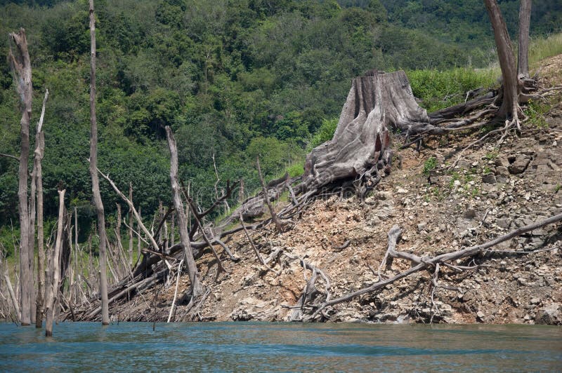 Big Dead Tree Root in Balahala Stock Photo - Image of landscape ...