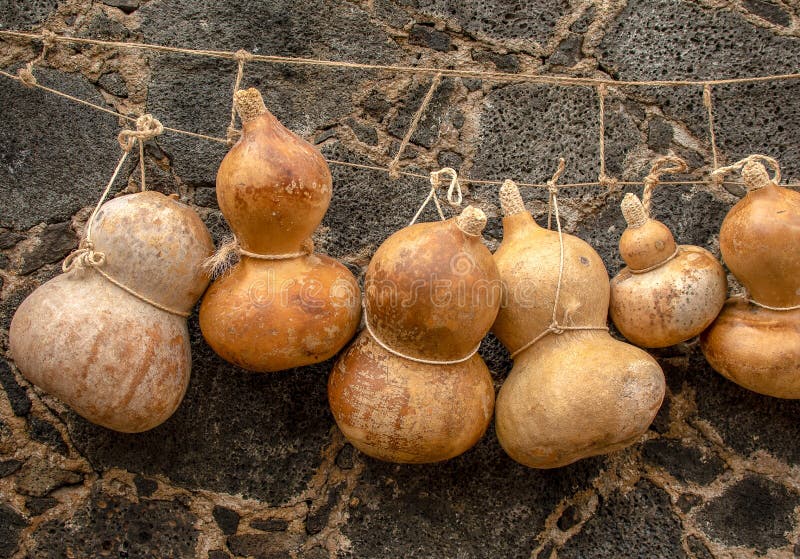 Guaje Seed Stock Photos - Free & Royalty-Free Stock Photos from Dreamstime