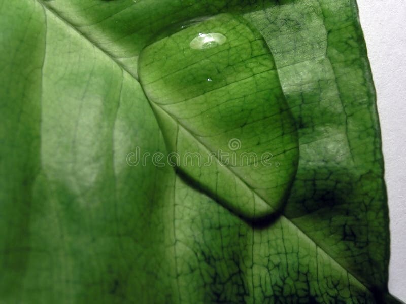 Exploring Picture. Image: 87960698