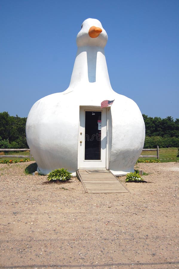 Big Duck, Flanders NY stock image. Image of roadside - 11587003