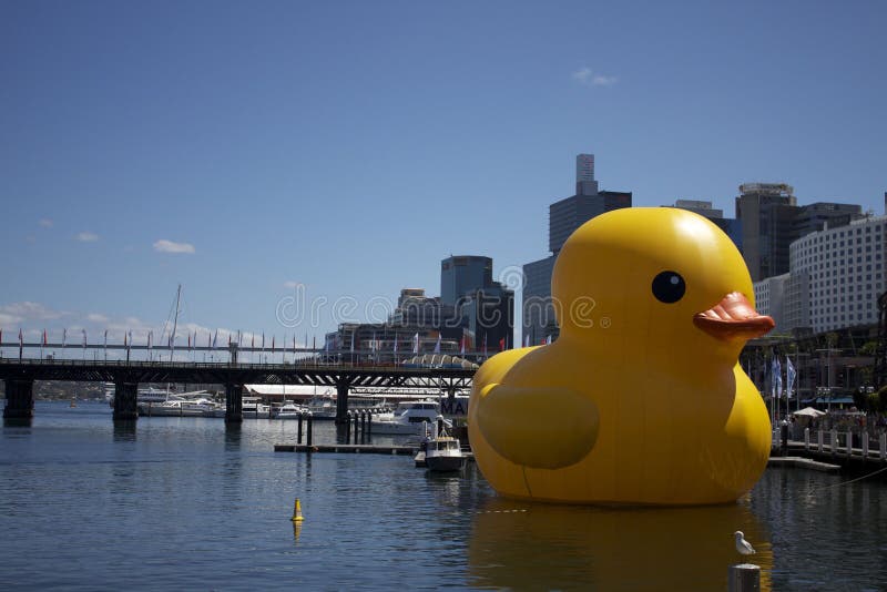 Big duck in harbour editorial image. Image of lovely - 36656045