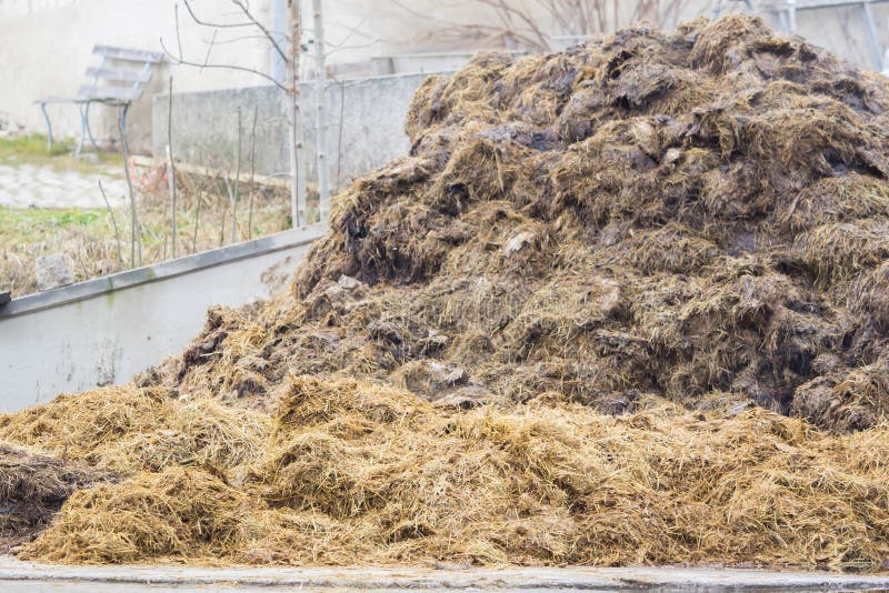 A big dung heap on a farm stock image. Image of natural - 111096009