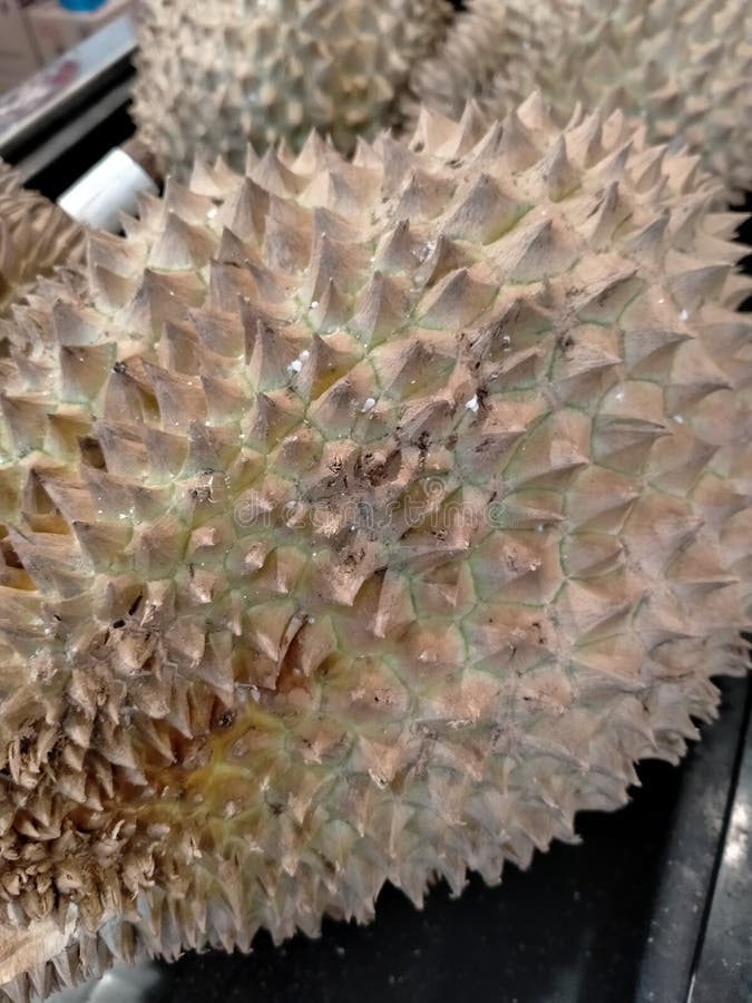 Big Durian Fruit in the Supermarket Stock Image - Image of king, fruit ...